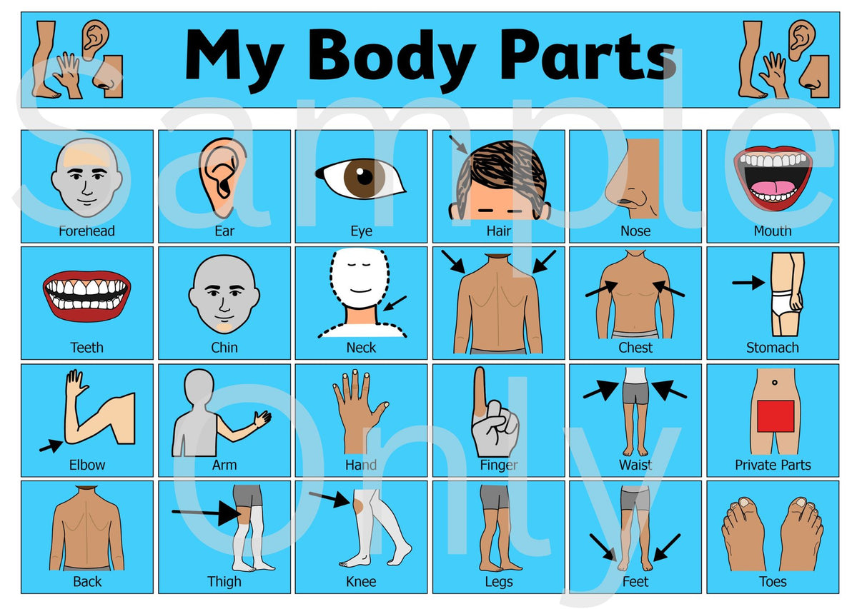 My Body Parts – T&T Visual Supports